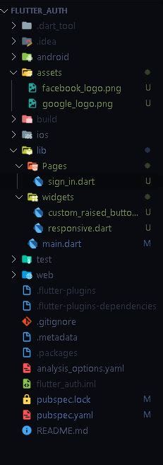 Flutter Image Provider Assetimagebundle Null Name Assets