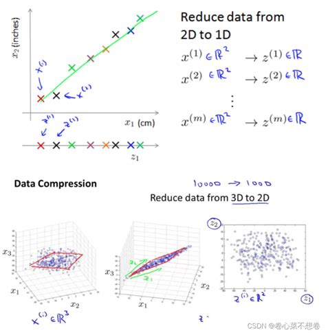 降维 主成分分析pca Csdn博客