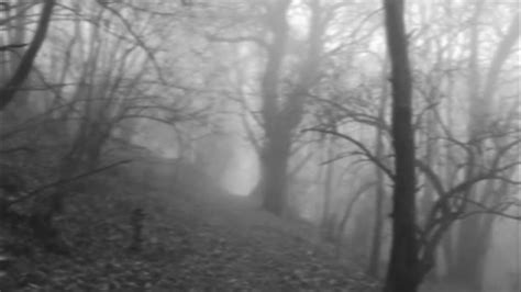 Project 1 Youtube Project 1 Youtube