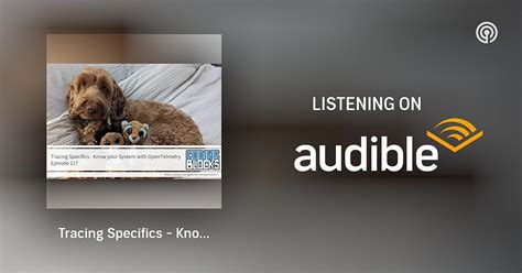 Tracing Specifics Know Your System With Opentelmetry Coding Blocks Podcasts On Audible