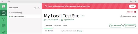 is local not working correctly 13 solutions to common problems