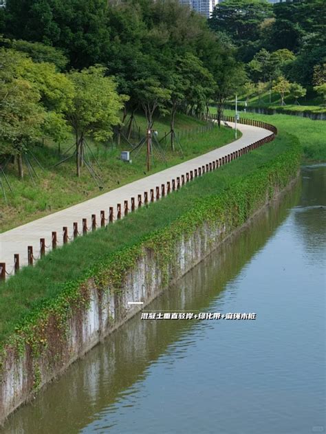 深圳大沙河生态长廊 【驳岸】 花瓣网