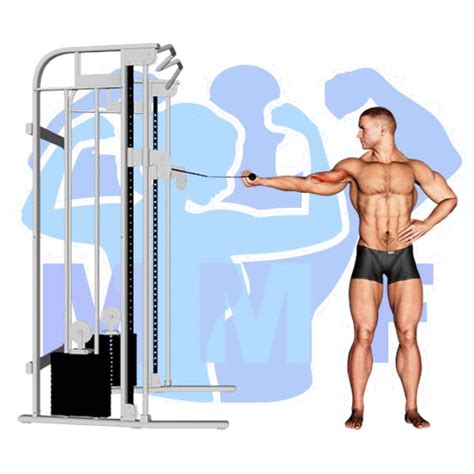 Superman Plank Little Known Plank For Those Who Want To Be Elite