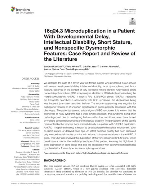 Pdf 16q243 Microduplication In A Patient With Developmental Delay