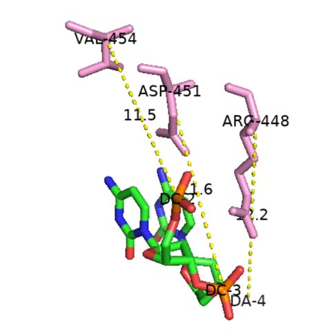 搭配pdb使用pymol蛋白pdb格式怎么下载 Csdn博客