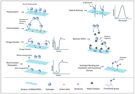 Boron Nitride Nanostructures Bnns Within Metalorganic Frameworks Mofs Electrochemical
