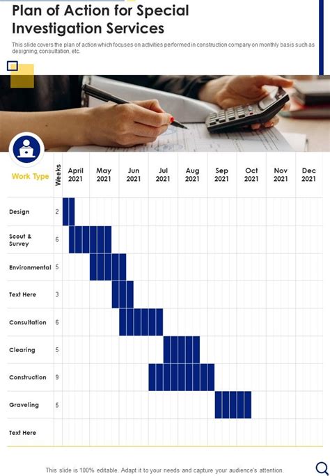 Plan Of Action For Special Investigation Services One Pager Sample Example Document
