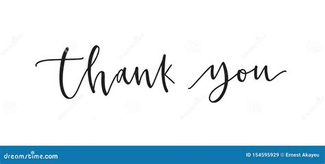 Thank You Word Or Message Written With Cursive Calligraphic Font Or Script Elegant Lettering