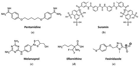Biomolecules History At Isabel Spiegel Blog