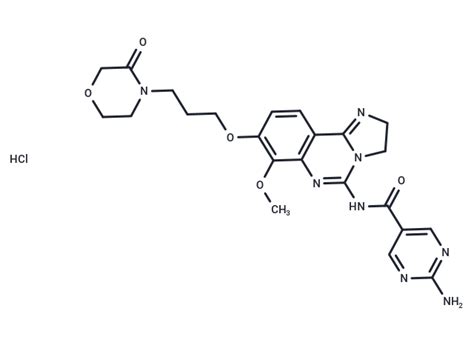 Pi3k In 19 Hydrochloride Targetmol