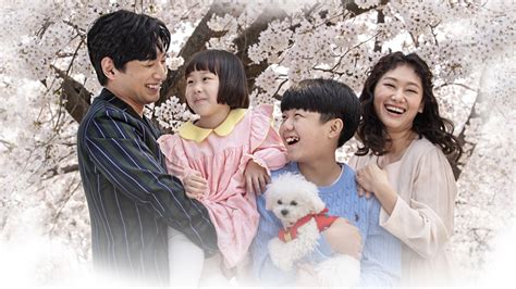 엄마가 바람났다 다시보기 Allvod