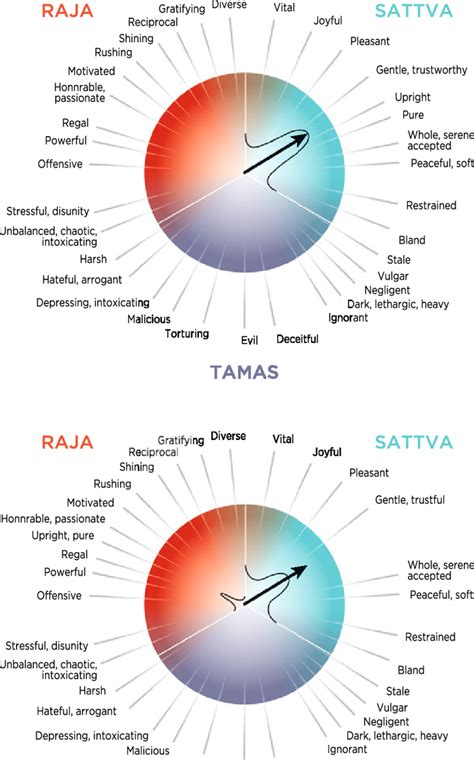 4 Bell Curve And Dis Joint Curve For Adjectives On The Compass What