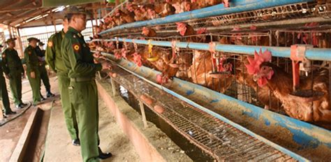 ဒေသတွင်းစိုက်ပျိုး၊ မွေးမြူရေးနှင့် ကုန်ထုတ်လုပ်ငန်းများ ရာနှုန်းပြည့် ဆောင်ရွက်နိုင်ရေး စိုက်ပ