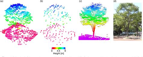 Figure 1 From Mapping 3d Structure Of Urban Trees Using Airborne Lidar