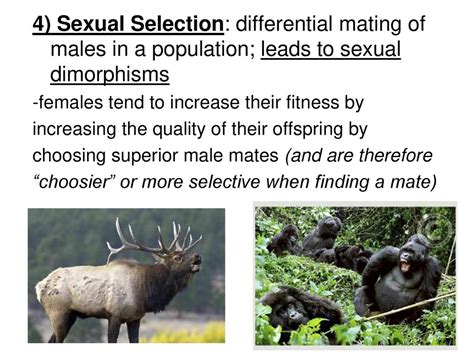 NOTES CH Population Genetics Ppt Download