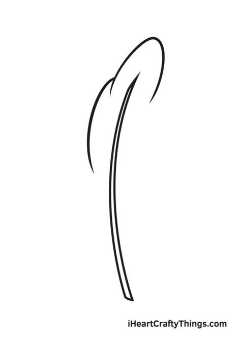 Feather Drawing How To Draw A Feather Step By Step
