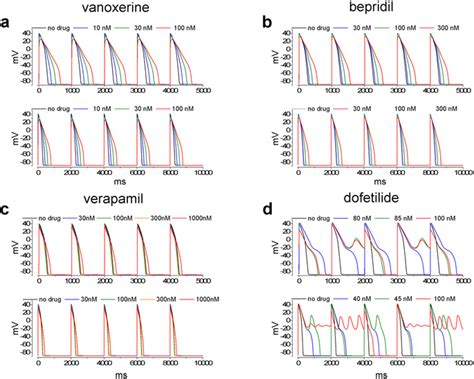 Steady State Simulations Of Action Potentials At Drug Concentrations