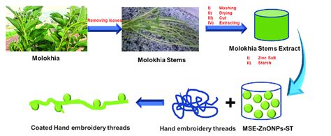 Schematic Diagram Representing The Synthesis Of Mse Znonps And A Green Download Scientific
