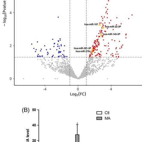 Validation Of Candidate Differentially Expressed Mirnas Of Sequencing