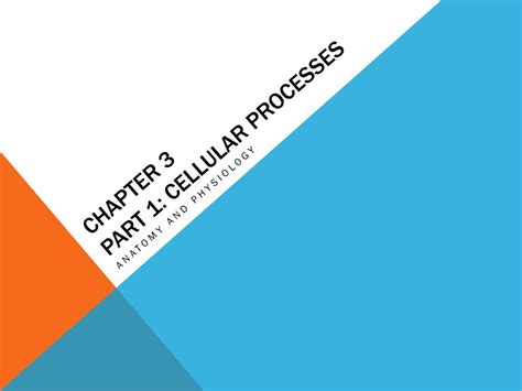 PPT Chapter 3 Part 1 Cellular Processes PowerPoint Presentation Free Download ID 2426024