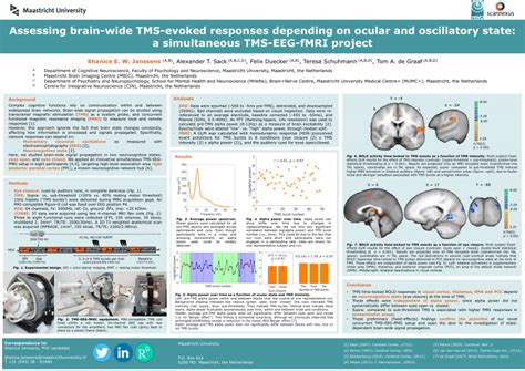 Pdf Assessing Brain Wide Tms Evoked Responses Depending On Ocular And