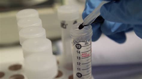 Dbs Analysis Dbs Project