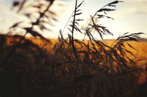 200 Free Noise Nature Photos Pixabay