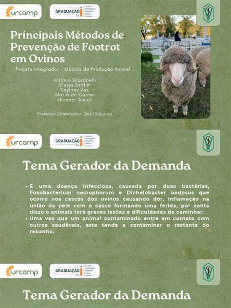 Pododermatite Infecciosa 1 Pdf