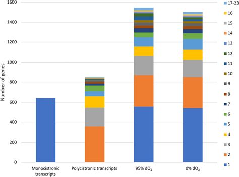 Distribution Of Identified Operons By Gene Number Monocistronic And Download Scientific