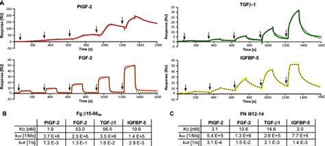 Fig S4 Affinity Of Selected Gfs For Fg β15 66 2 Estimated By Spr