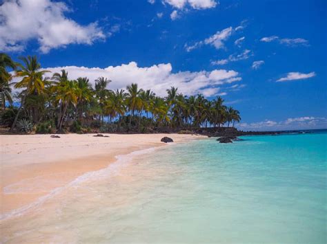 Vietnam Visa Requirements For Comorian Citizens Guides And Fees