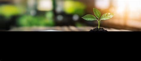 Sustainability Report Archive Envac