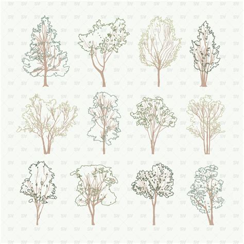 Vector Trees Ai Png Architecture Studio Alternativi