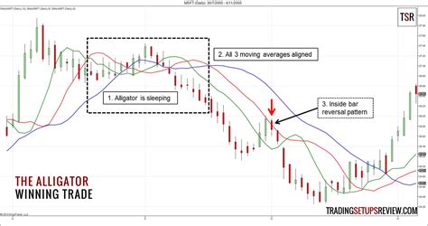 Trading The Alligator By Bill Williams Trading Setups Review