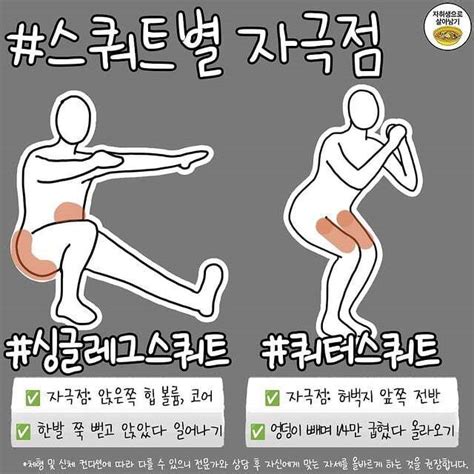 스쿼트 종류별 자극부위 완벽 총정리  인스티즈 Instiz 이슈 카테고리