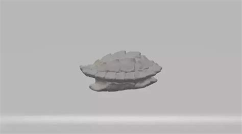Turtle Shell 3d Model 3d Printable Cgtrader