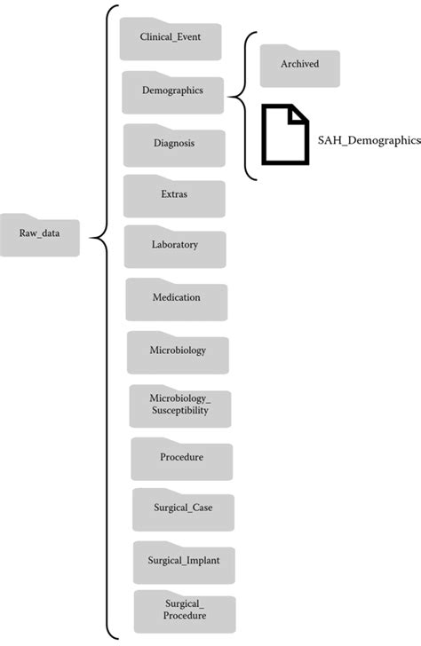 File Management User Management