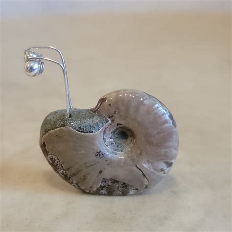 Christie Panteah Ammonite Snail Zuni Fetish Etsy