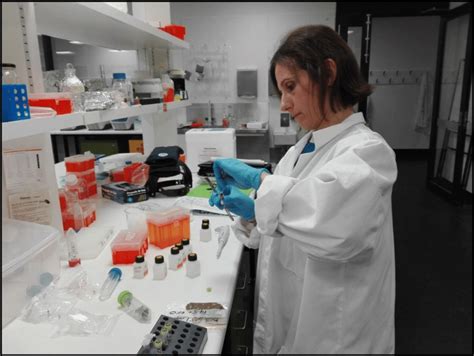 Dna Was Extracted From Sediment Samples In The Laboratory At Federation