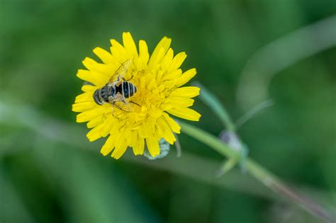 Cowgirl Wallpaper Photos Download The Best Free Cowgirl Wallpaper