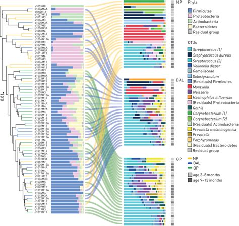 Niche Based Hierarchical Clustering Of Microbiota Profiles Branches