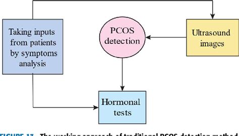 Figure 13 From A Review On The Detection Techniques Of Polycystic Ovary Syndrome Using Machine