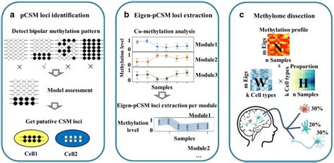 A Three Step Process To Perform Methylome Dissection Using Eigen PCSM