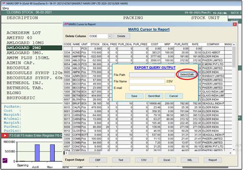 How To View Current Stock In Csv Format In Marg Software