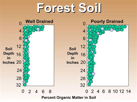 Introduction To Soil Science PPT