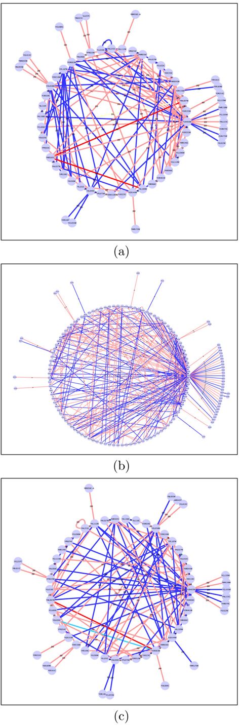 Experiment 2 Network Interactions Dynamics Of Temporal Interactions