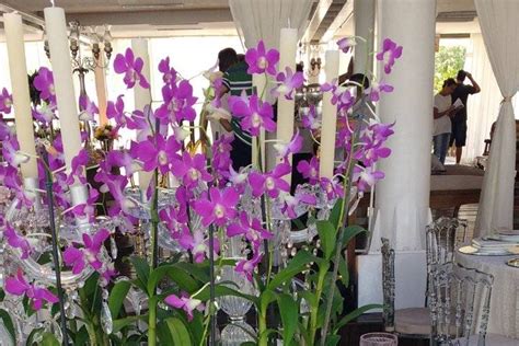 Bea Flor Consulte Disponibilidade E Preços