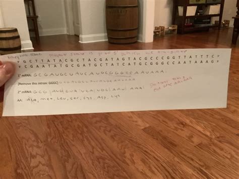 Lab Based Questions Unit Flashcards Quizlet