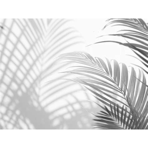 Grey Palm Leaves Wallpaper Wall Murals Home Decor Etsy