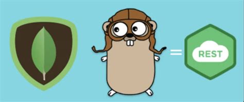 Connect To Mongodb In Go Hi Today I Show You How To Connect To By